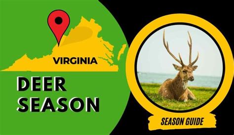 Iowa Deer Season 2025 Your Comprehensive Guide Deerseasonorg