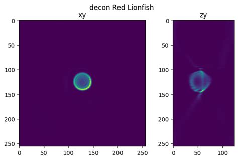 Deconvolution Minimizing Edge Artifacts Image Analysis Imagesc Forum