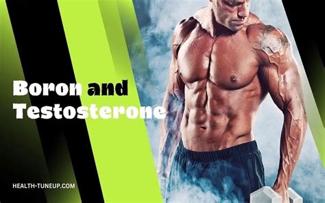 Does Boron Raise Testosterone [when And How Much To Take]