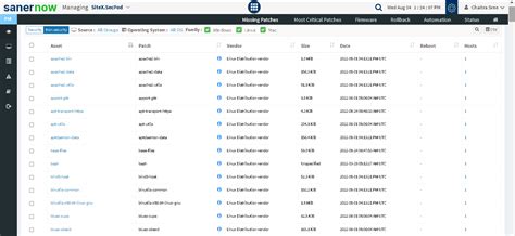 Linux Patch Management Saner CVEM