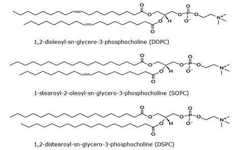 Chemical Structures Of Dopc Sopc And Dspc Download Scientific Diagram