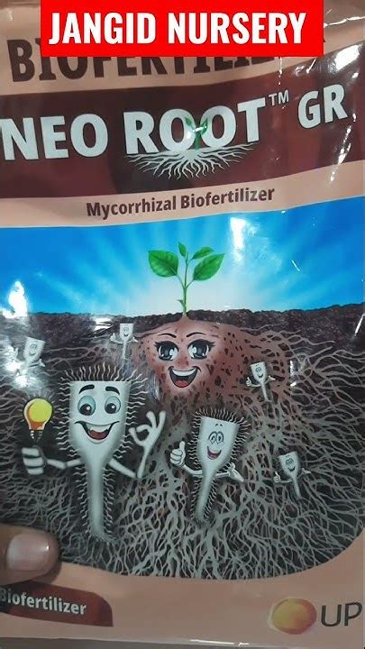 पपीता की जैविक खेती के लिए जैविक उत्पाद Trychoderma Pseudmonas