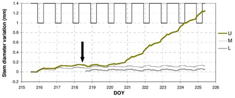 Stem Diameter Variations Observed For Girdled Tree During The Double Download Scientific