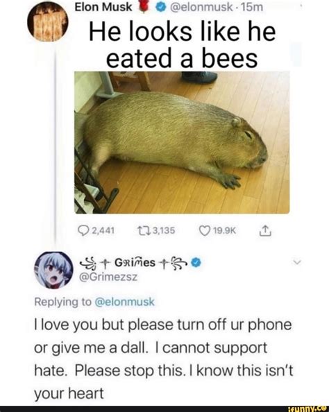 Elon Musk Elonmusk He Looks Like He Eated A Bees 2441 113135 199k