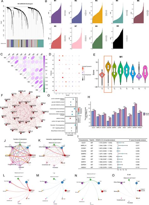 High Dimension Weighted Correlation Network Analysis Hdwgcna Of Download Scientific Diagram
