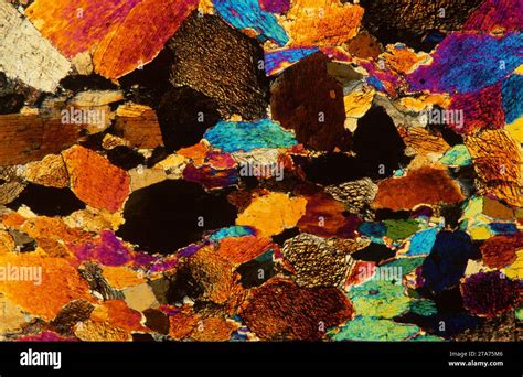 Amphibolite Thin Section