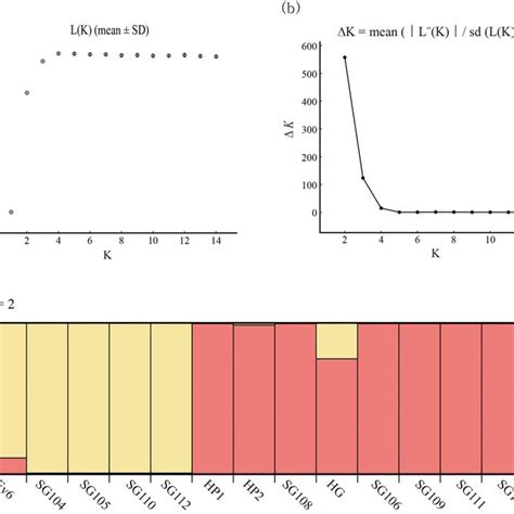 Simple Sequence Repeat Ssr Based Dendrogram Of Pyropia Yezoensis Download Scientific Diagram