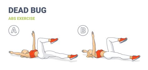 How To Do Dead Bug Pilates Digest