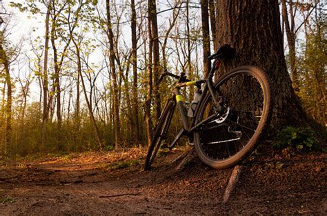숲에서 산악 자전거 자갈 자전거는 일몰에 숲 길에 나무 옆에 서있다 활동적인 라이프 스타일 컨셉 건강한 생활방식에 대한 스톡 사진 및 기타 이미지 Istock