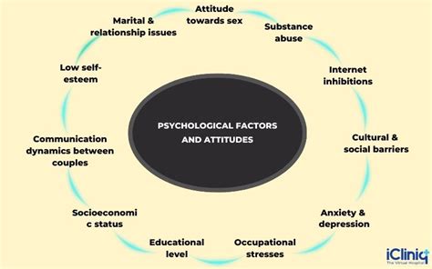 What Are The Psychological Causes And Factors That Contribute To Sexual Disorders