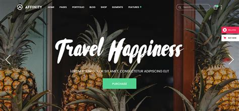 Affinity Wordpress Multipurpose Theme Mg Technologies