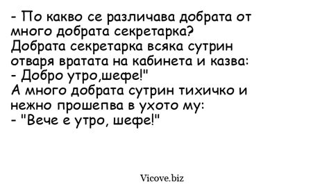 По какво се различава добрата Vicove Biz