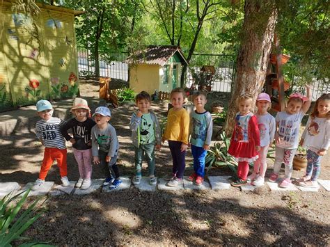 Екологичното възпитание в предучилищна възраст е своеобразен организиран процес на педагогическо