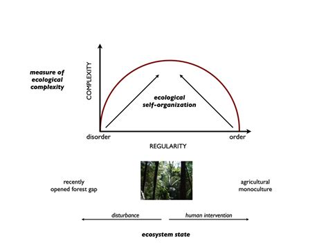Measuring Complexity Complex Environmental Systems Lab