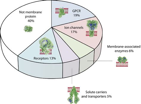 human membrane proteins as drug targets download scientific diagram