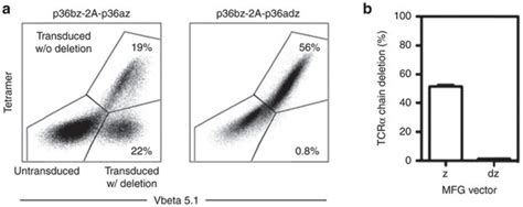 Degenerate Codon Substitution Prevents Intravector Deletion A