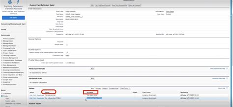 Sfm Validation Not Firing For Picklist Values Which Have Special