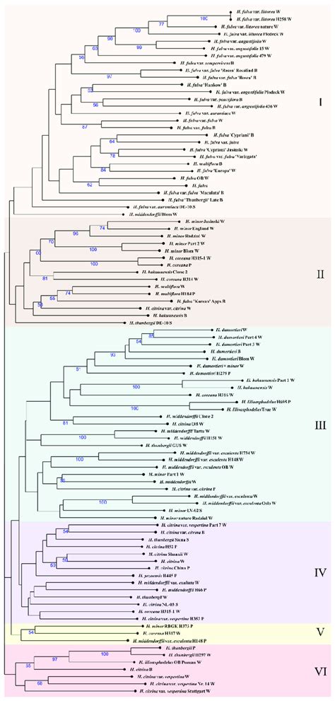 Dendrogram Showing Relationships Among 11 Species With Different Clones Download Scientific
