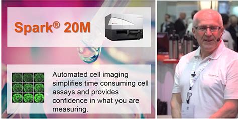 Simplifying Cell Assays With Automated Confluence Determination The