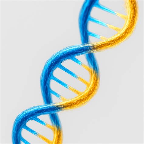 Evolution Of Consciousness