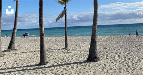 야자수와 푸른 하늘이있는 해변 사진 Unsplash의 무료 바닷가 이미지