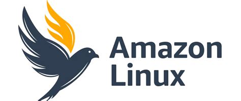 What Are The Key Differences Between Aws Ec2 And Aws Lambda Dev Community