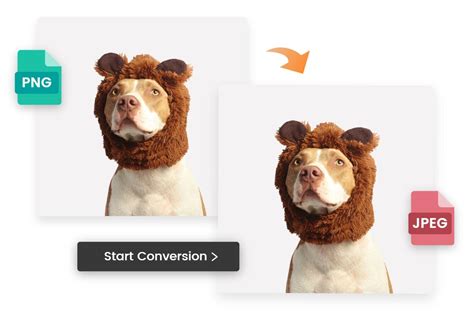 Free Png To Jpeg Converter Convert Png To Jpeg Online Fotor