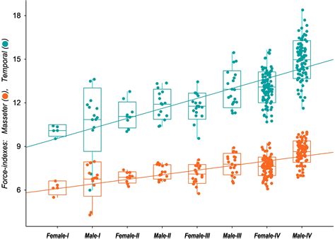 Sex And Age Related Morphological And Functional Differences In The Skull Of Eira Barbara