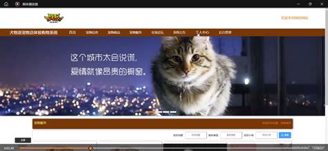 Ssmphpnodepython犬物语宠物店体验购物系统 Csdn博客