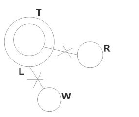 Reasoning Question Mixed Questions Set 4