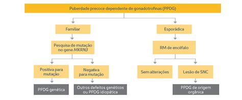 Sintomas De Puberdade Precoce Puberdade Precoce Conheça As