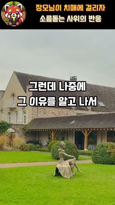 장모님이 치매에 걸리자 사위 반응이 충격적이예요 Youtube