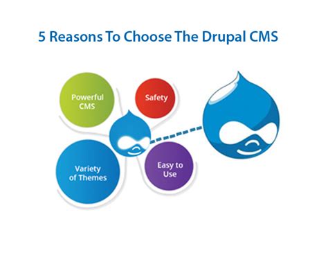 5 reasons to choose the drupal cms for your business website mind