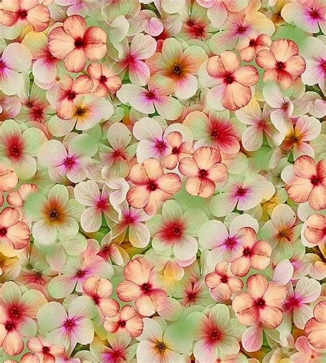 Pin De Vikky Em Pattern