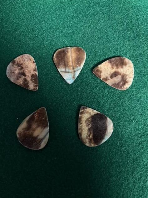 Turtle Shell Guitar Pick Etsy