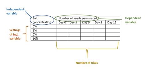 Dependent Variable Science Examples