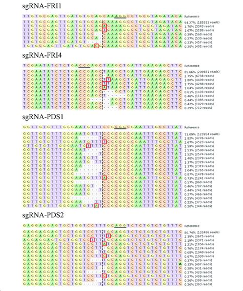 Distribution Of The Most Frequent Alleles Identified With Crispresso Download Scientific
