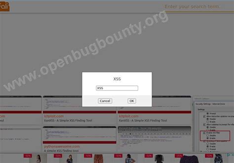 Mungfali Cross Site Scripting Vulnerability OBB Open Bug Bounty