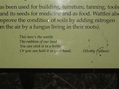 Monty Python Quotes Love Quotesgram