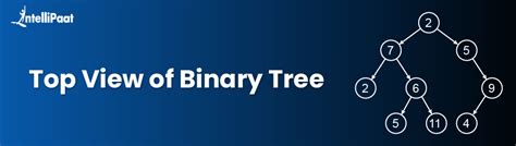 Top View Of Binary Tree In Data Structures