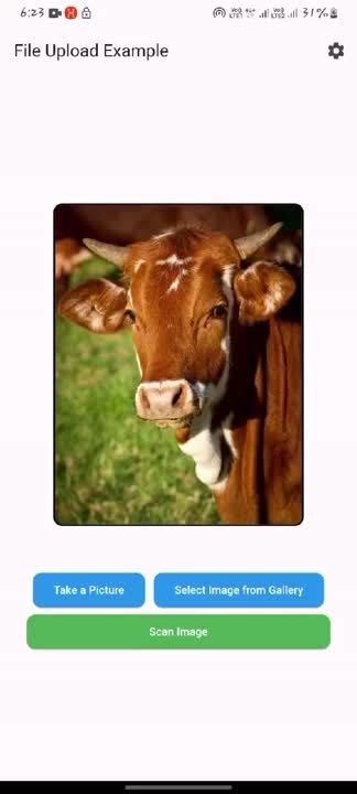 Muhammad Mohsin Ali On Linkedin Finalyearproject Fyp Machinelearning Flutter