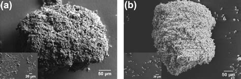 Microstructural Images Showing The Typical Surface Morphology Of A Download Scientific