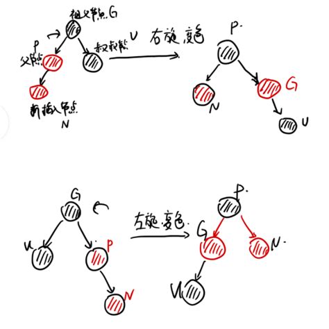 数据结构与算法：红黑树讲解 csdn博客
