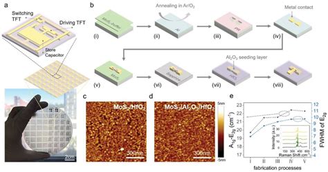 Gate‐last Fabrication Process For Large‐scale Mos2 A Schematic And Download Scientific