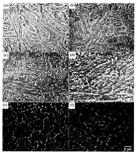 Cementite Microstructure