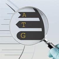 PrimeScript IV 1st Strand CDNA Synthesis Mix