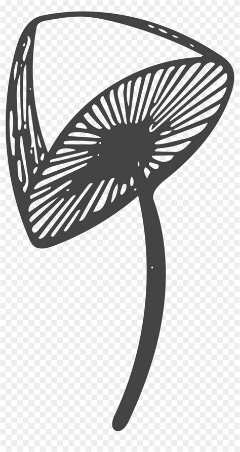 Mushroom Euclidean Vector Computer File Mushroom Euclidean Vector Computer File Free Mushroom Euclidean Vector Computer File Mushroom Euclidean Vector Computer File Free