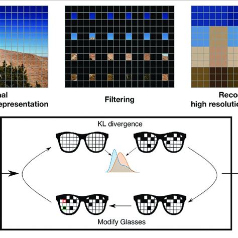 A The Mapping Entropy Is Defined As The Kullback Leibler Distance Download Scientific