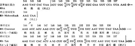 血红蛋白病与遗传 医遗传学