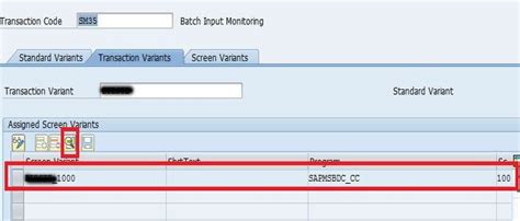 SAP ALL Authorization User Unable To Edit Display Fields